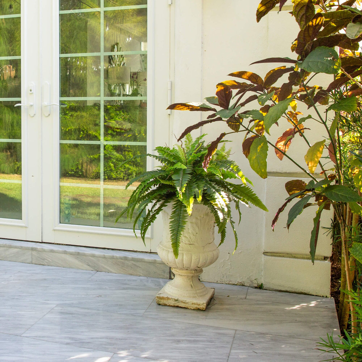Outdoor Safe Ferns – Nearly Natural