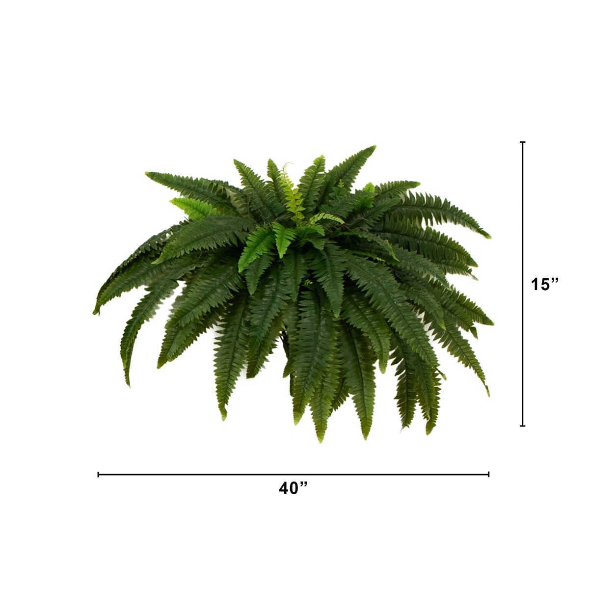 Outdoor-Safe Ferns – Nearly Natural