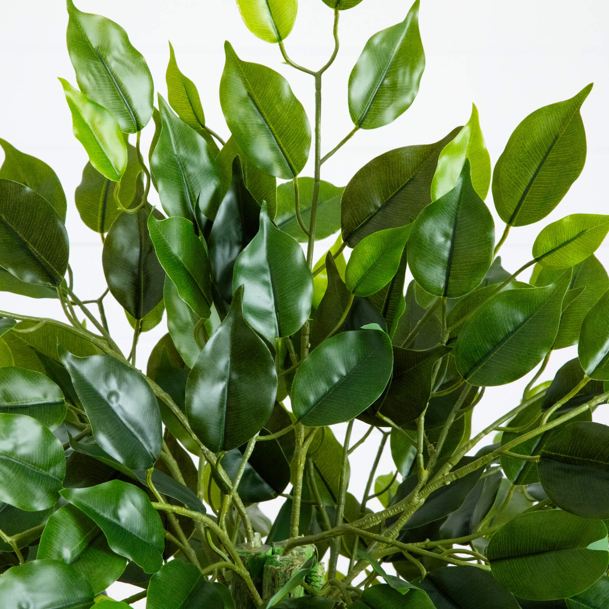 4.5-ft UV Resistant Artificial Ficus Tree (Indoor/Outdoor) – Nearly Natural