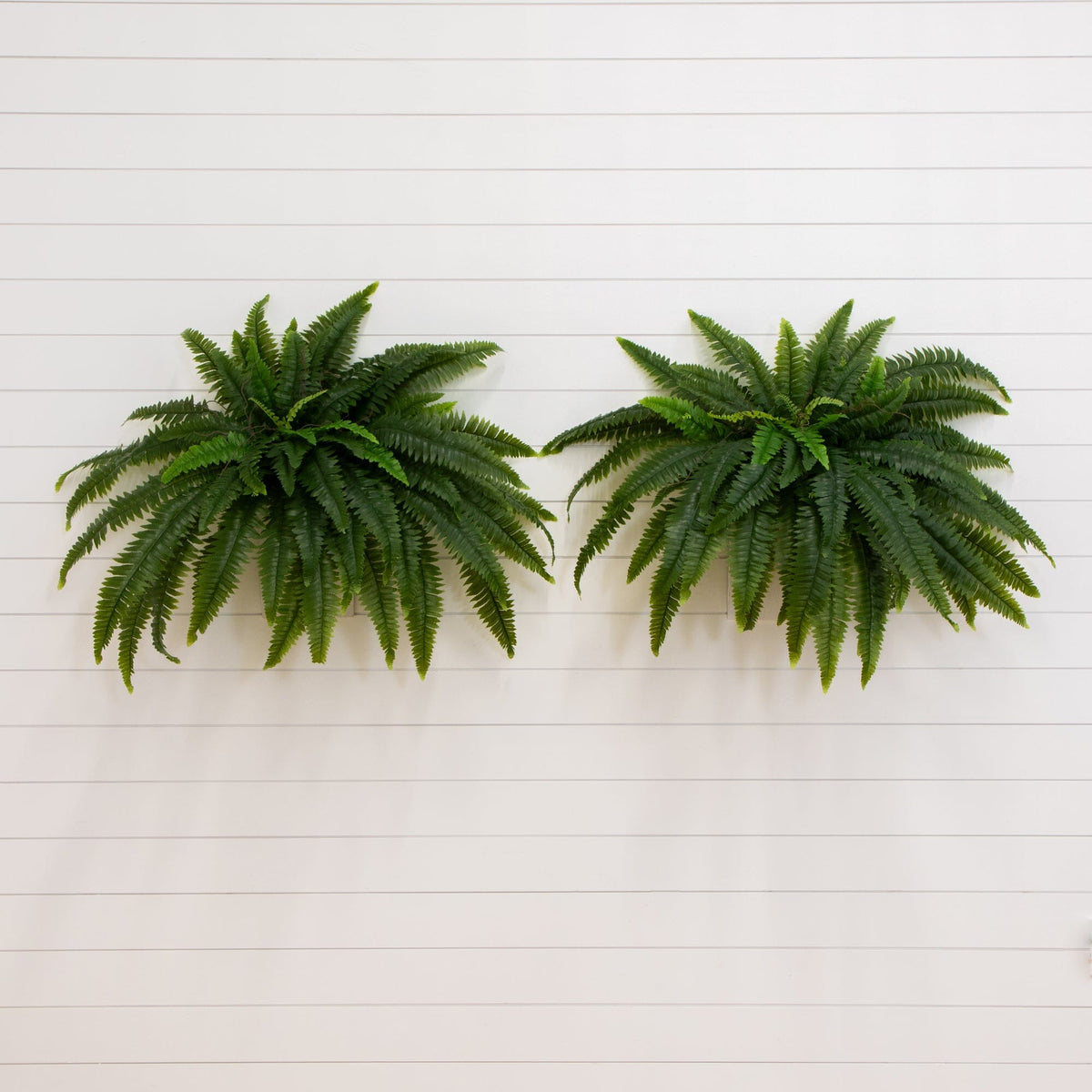 Outdoor-Safe Ferns – Nearly Natural