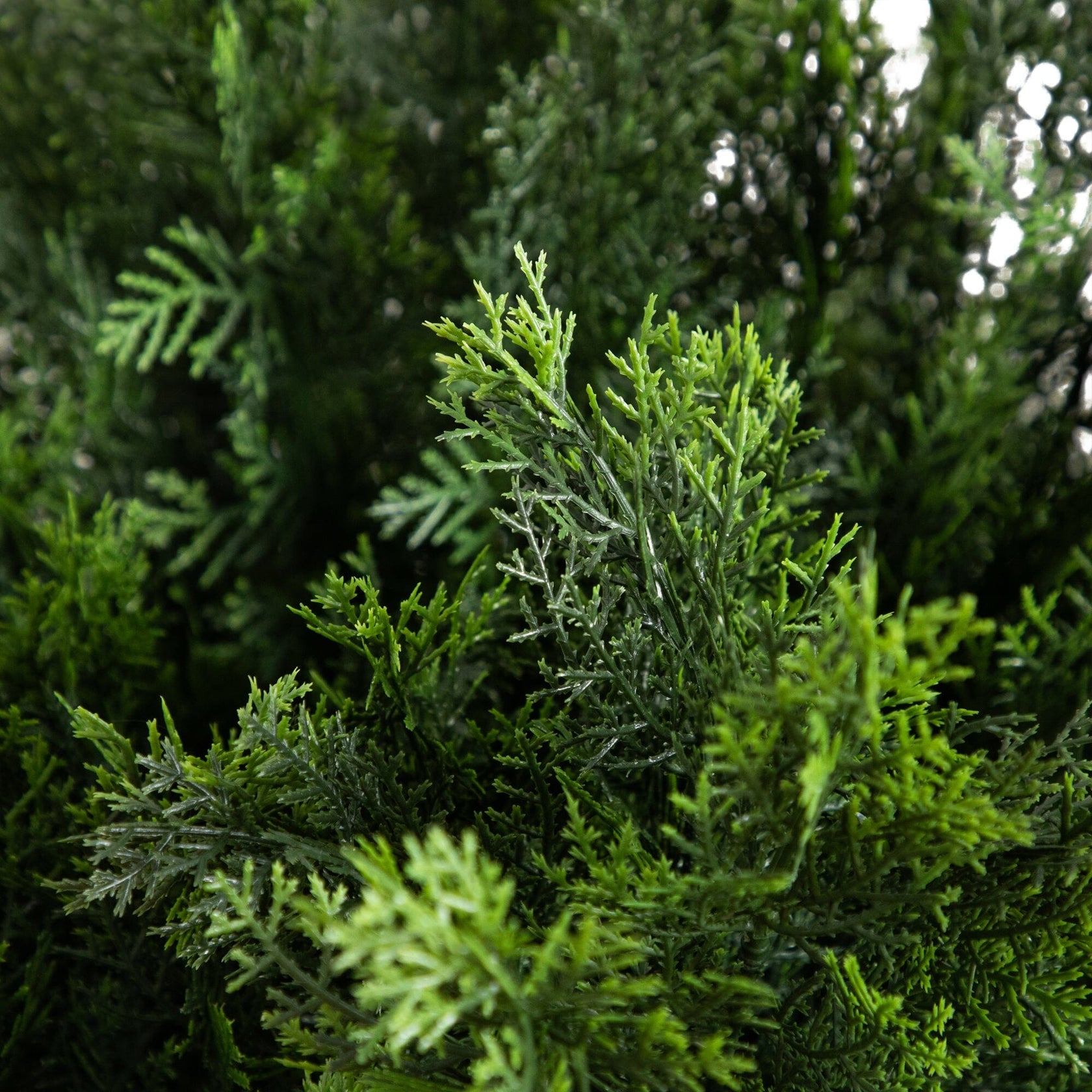 5’ Artificial Cedar Bush UV Resistant (Indoor/Outdoor) | Nearly Natural