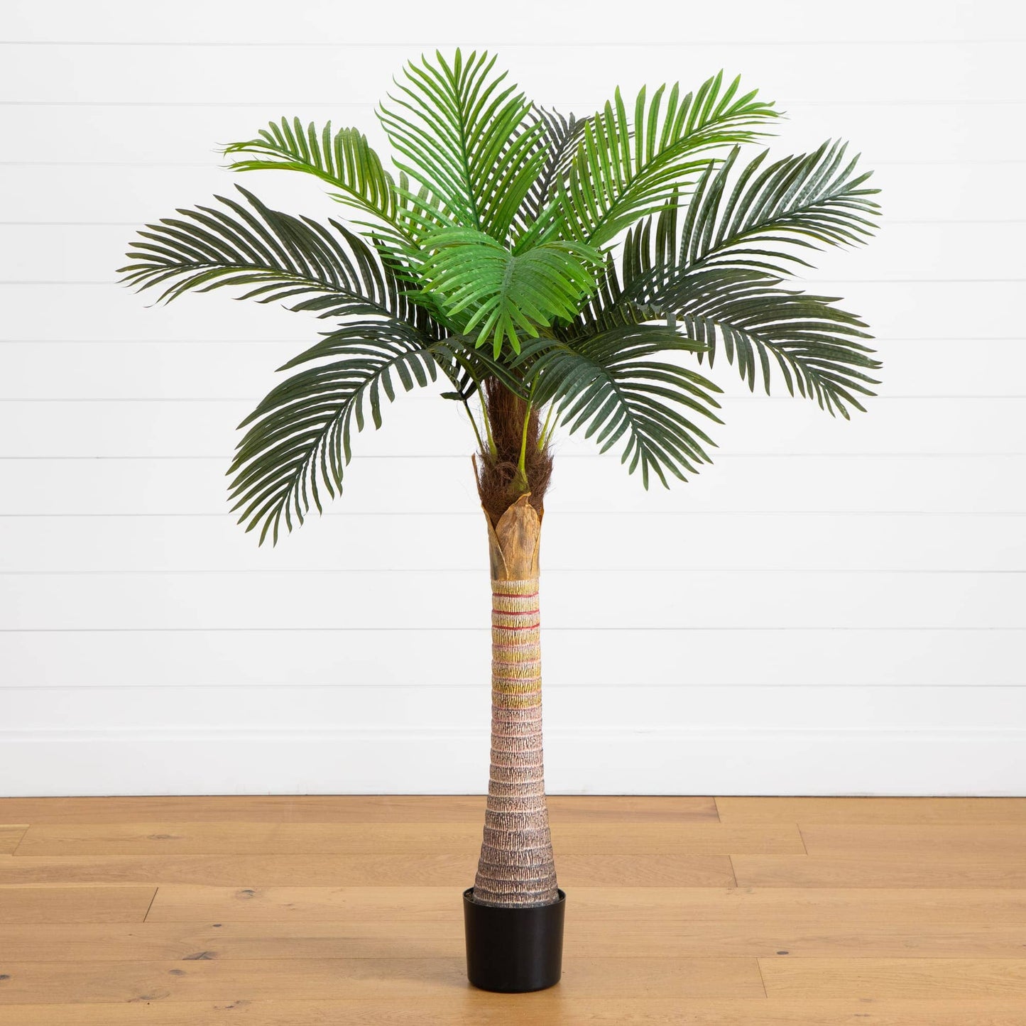5’ Artificial Coconut Palm Tree | Nearly Natural