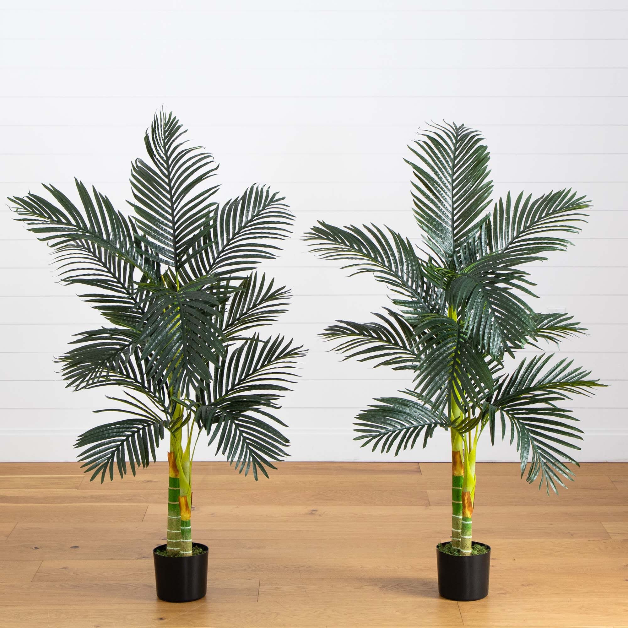 5’ Artificial Double Stalk Golden Cane Palm Tree- Set of 2 | Nearly Natural