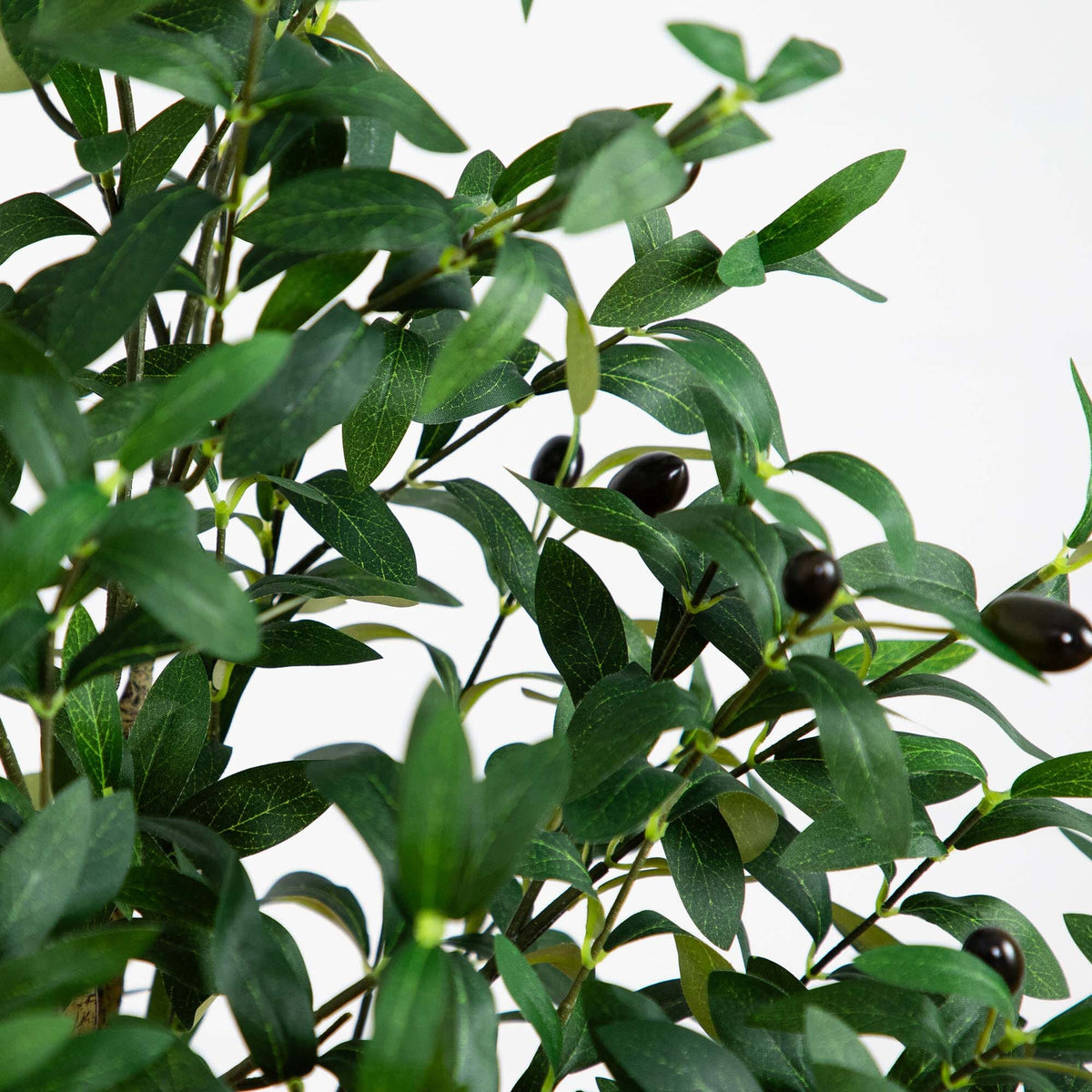 Faux Olive Tree Family | Fake Olive Tree Collection | Nearly Natural