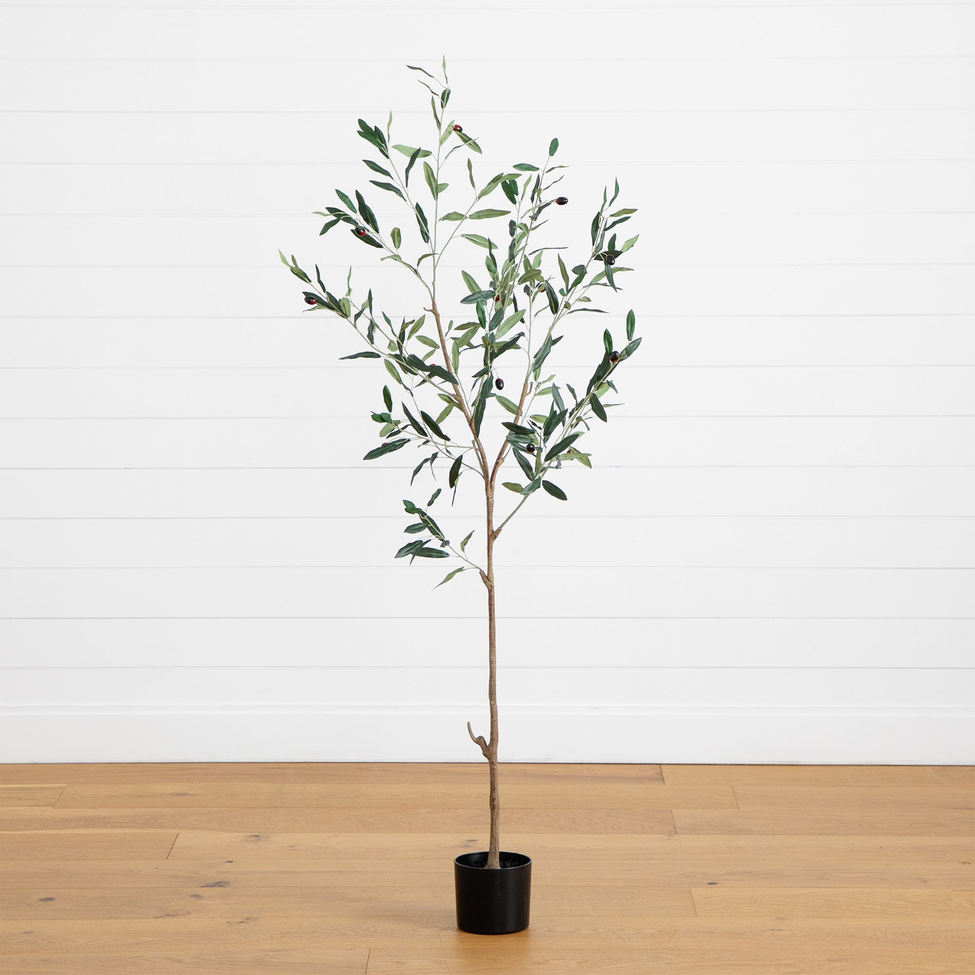 5’ Artificial Slim Minimalist Olive Tree | Nearly Natural