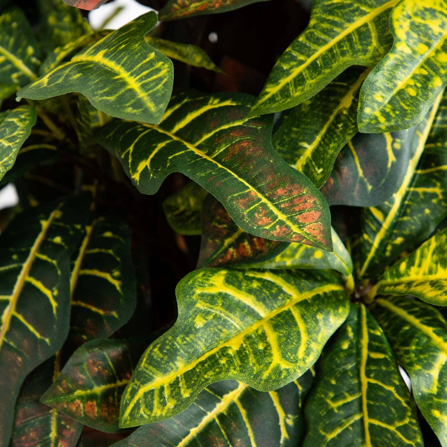 5' Croton Silk Tree | Nearly Natural