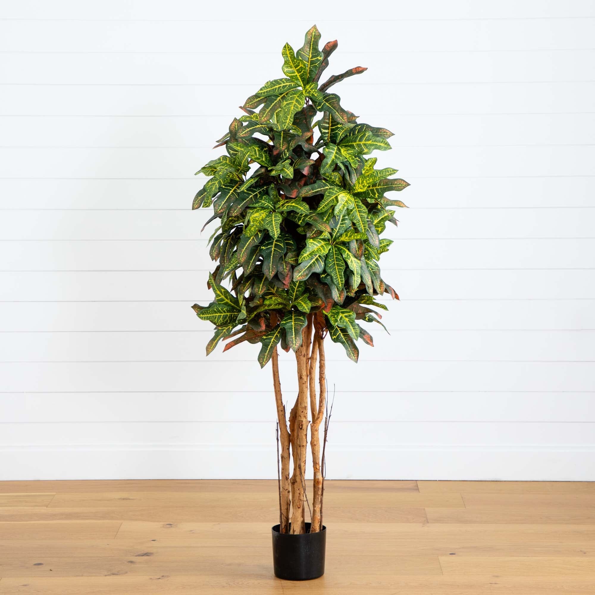 5' Croton Silk Tree | Nearly Natural