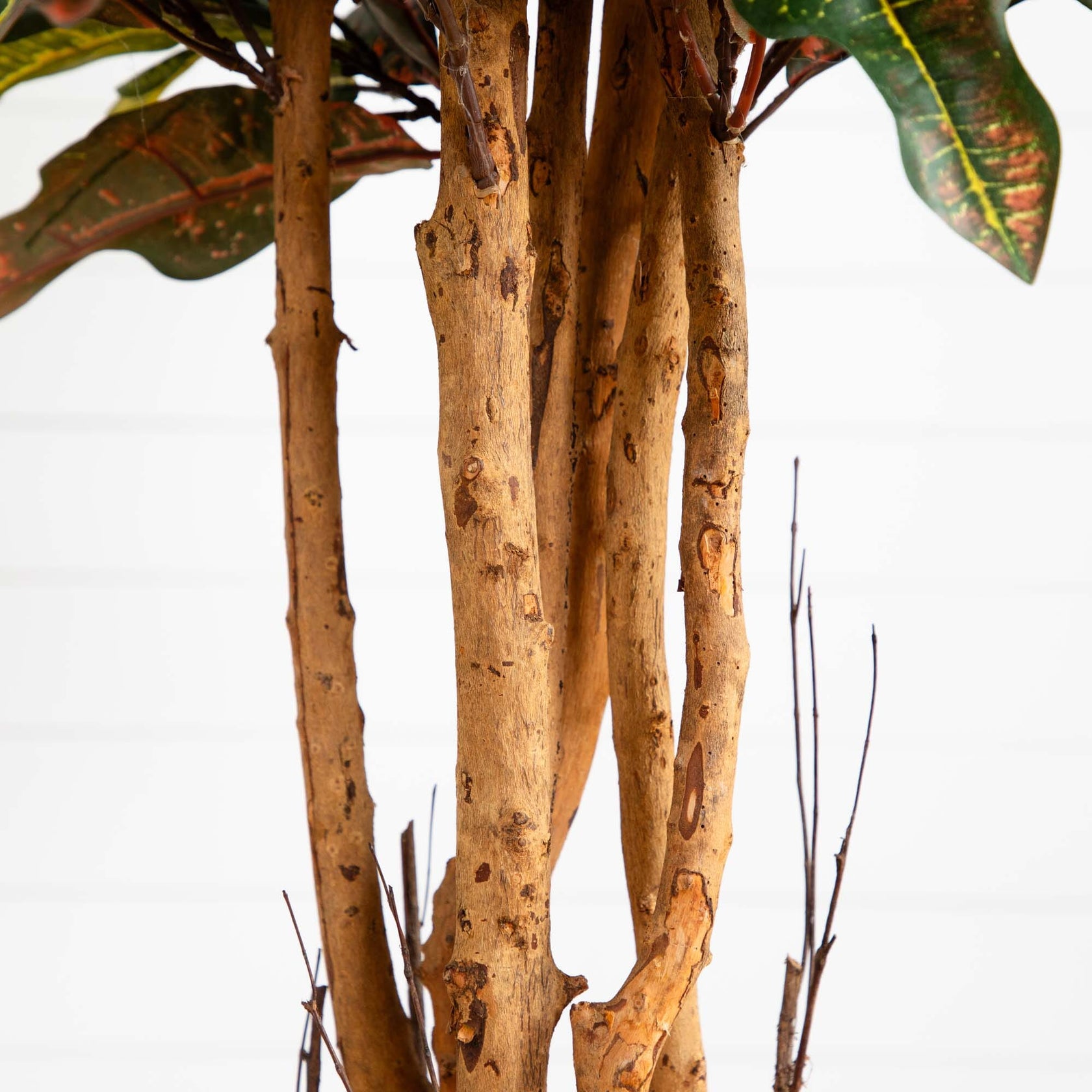 5' Croton Silk Tree | Nearly Natural