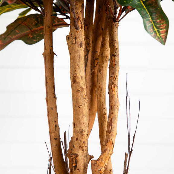 5' Croton Silk Tree | Nearly Natural