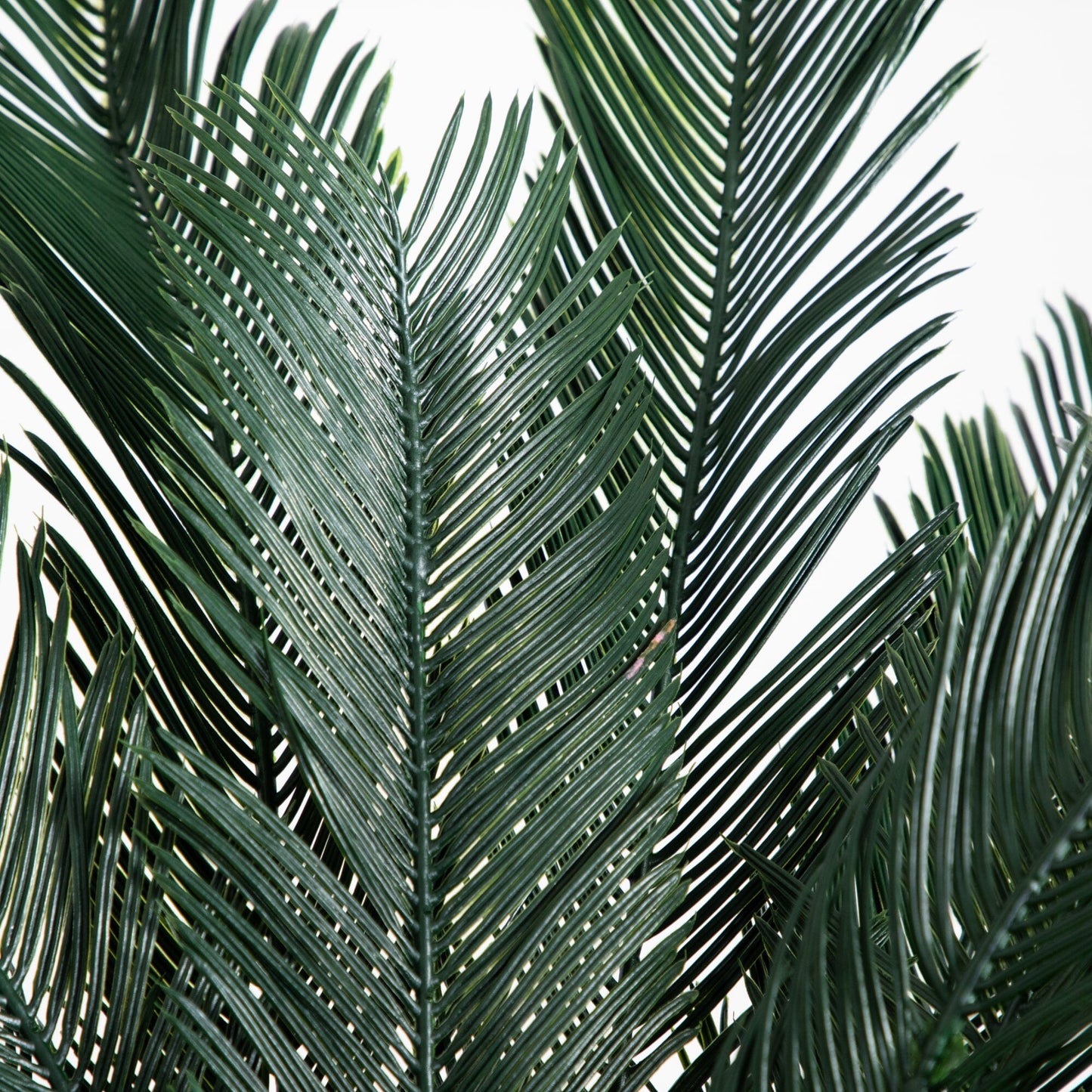 5’ Cycas Tree UV Resistant (In-door/Out-Door) | Nearly Natural