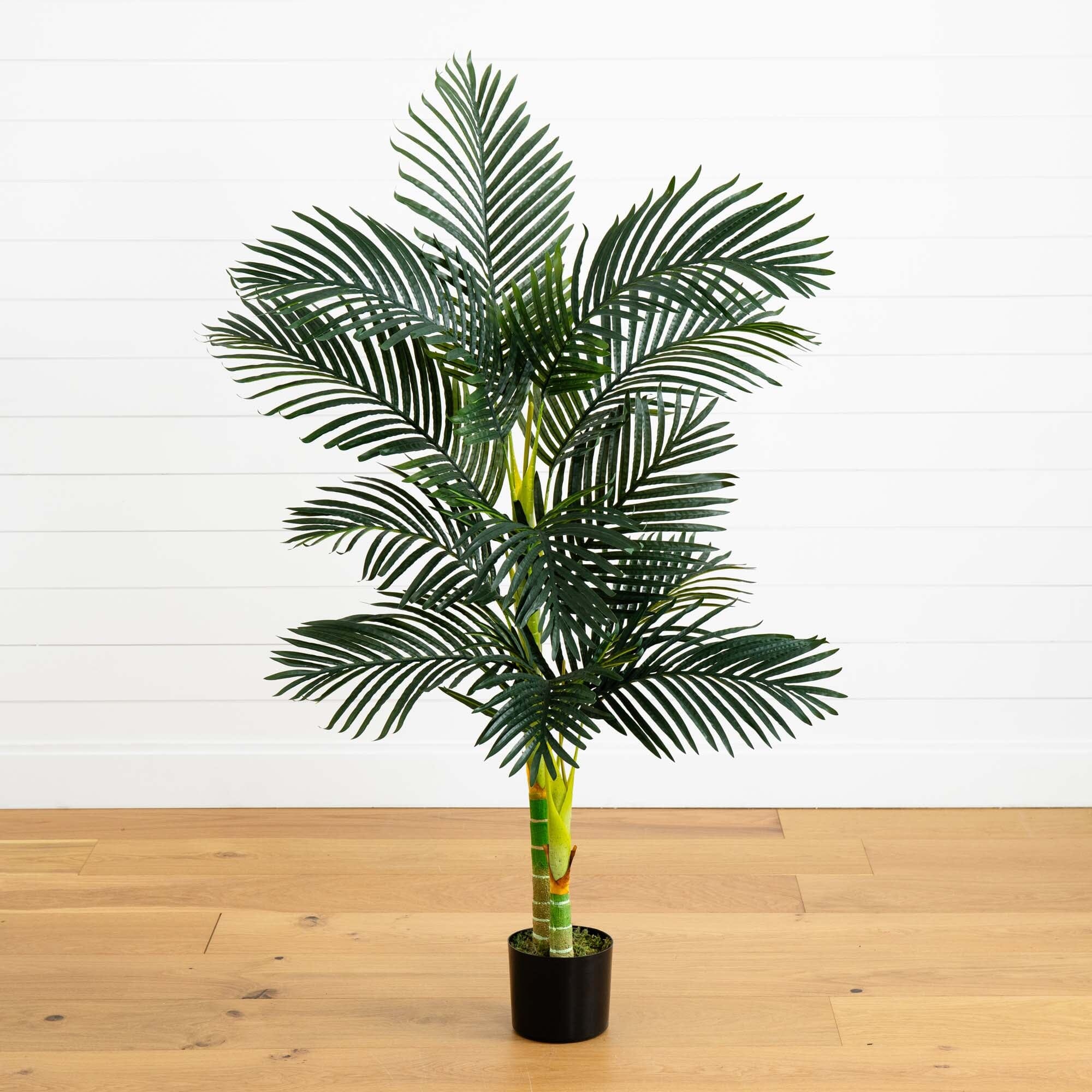 5’ Double Stalk Golden Cane Artificial Palm Tree | Nearly Natural