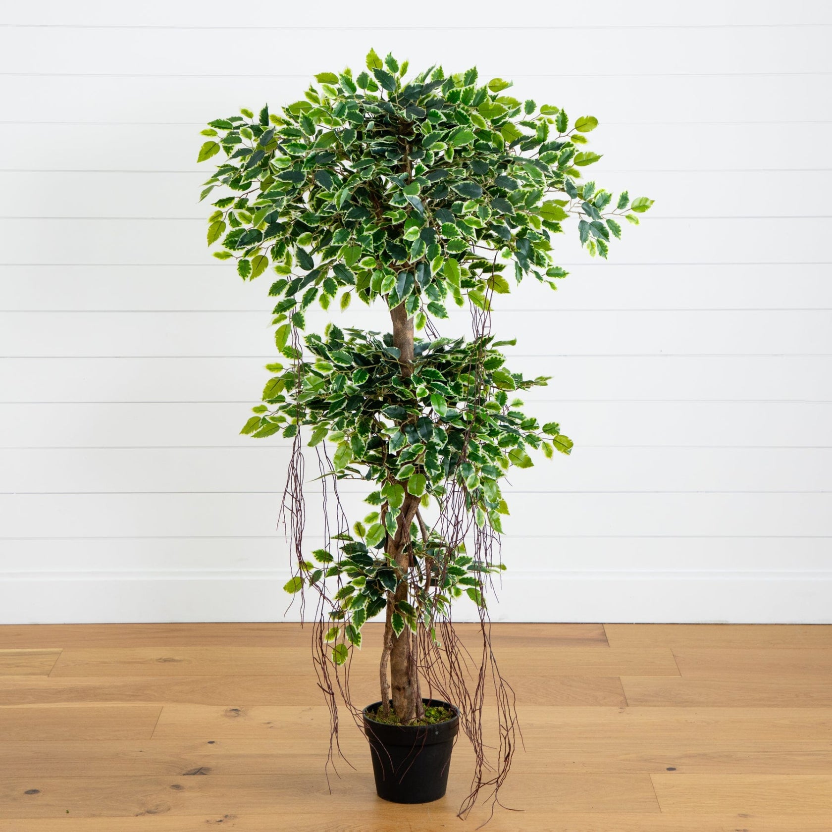 5’ Elegant Ficus Artificial Tree | Nearly Natural
