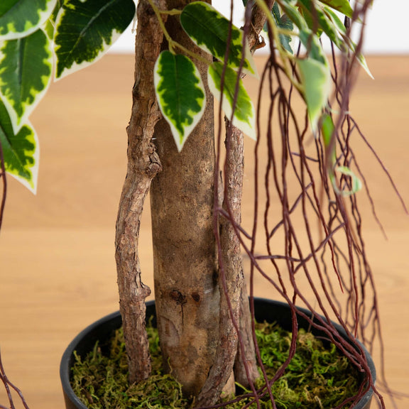 5’ Elegant Ficus Artificial Tree | Nearly Natural