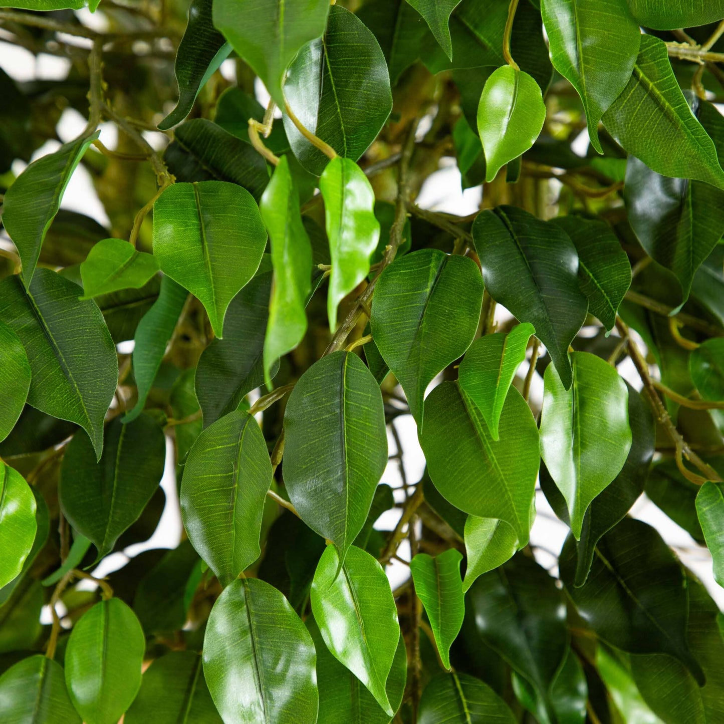 5' Ficus Artificial Tree with Woven Trunk UV Resistant (Indoor/Outdoor ...