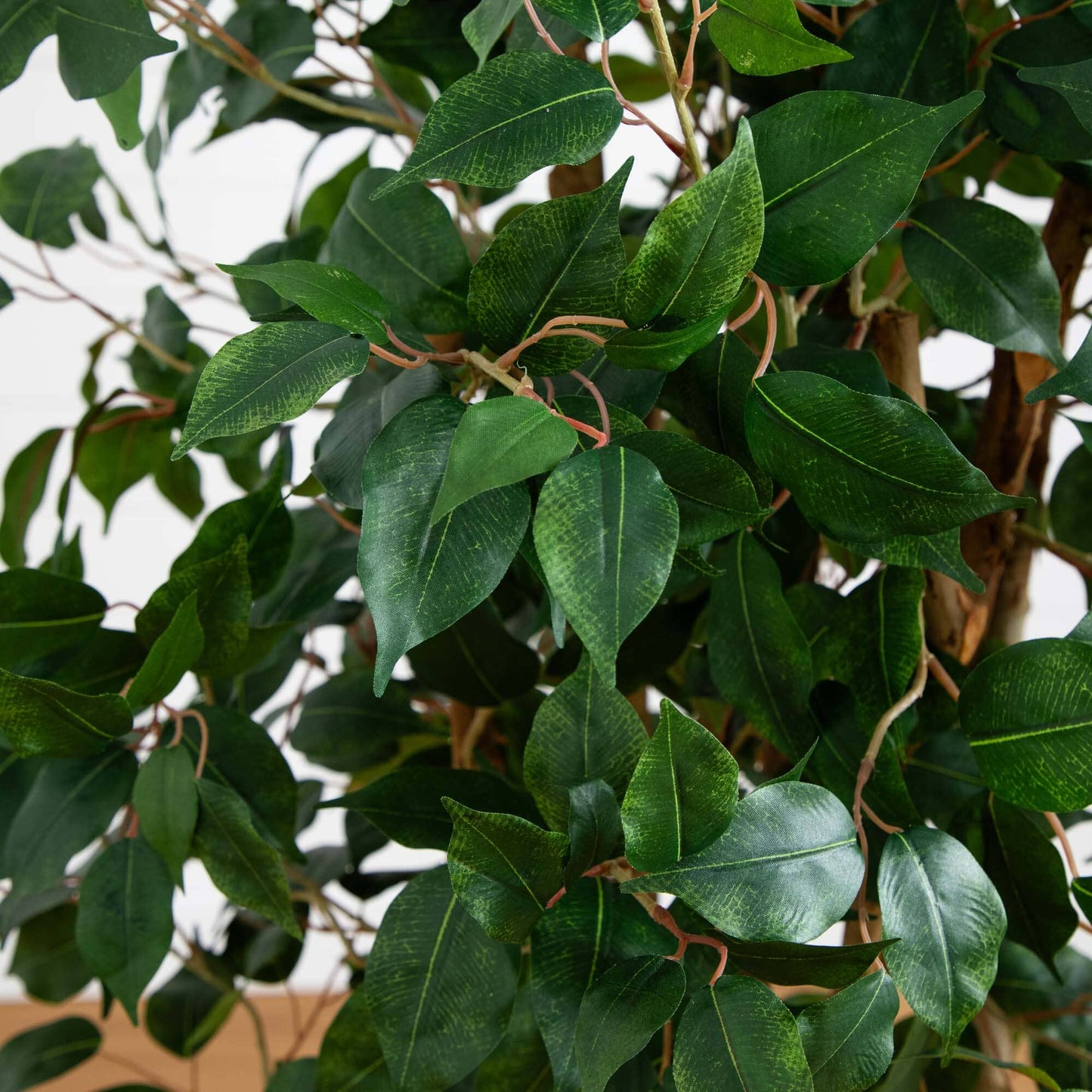 5' Ficus Bushy Silk Tree | Nearly Natural