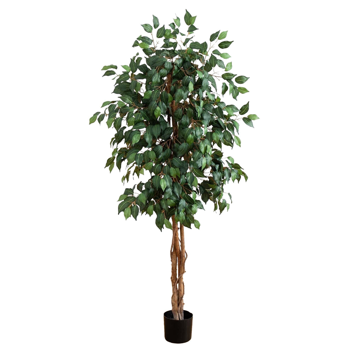 Artificial Ficus Trees | Nearly Natural