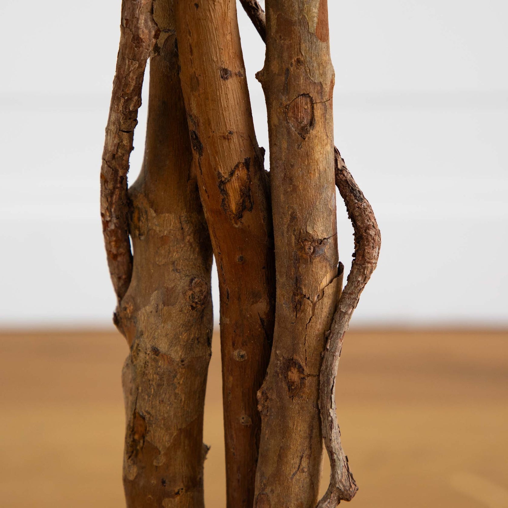 5' Ficus Silk Tree | Nearly Natural