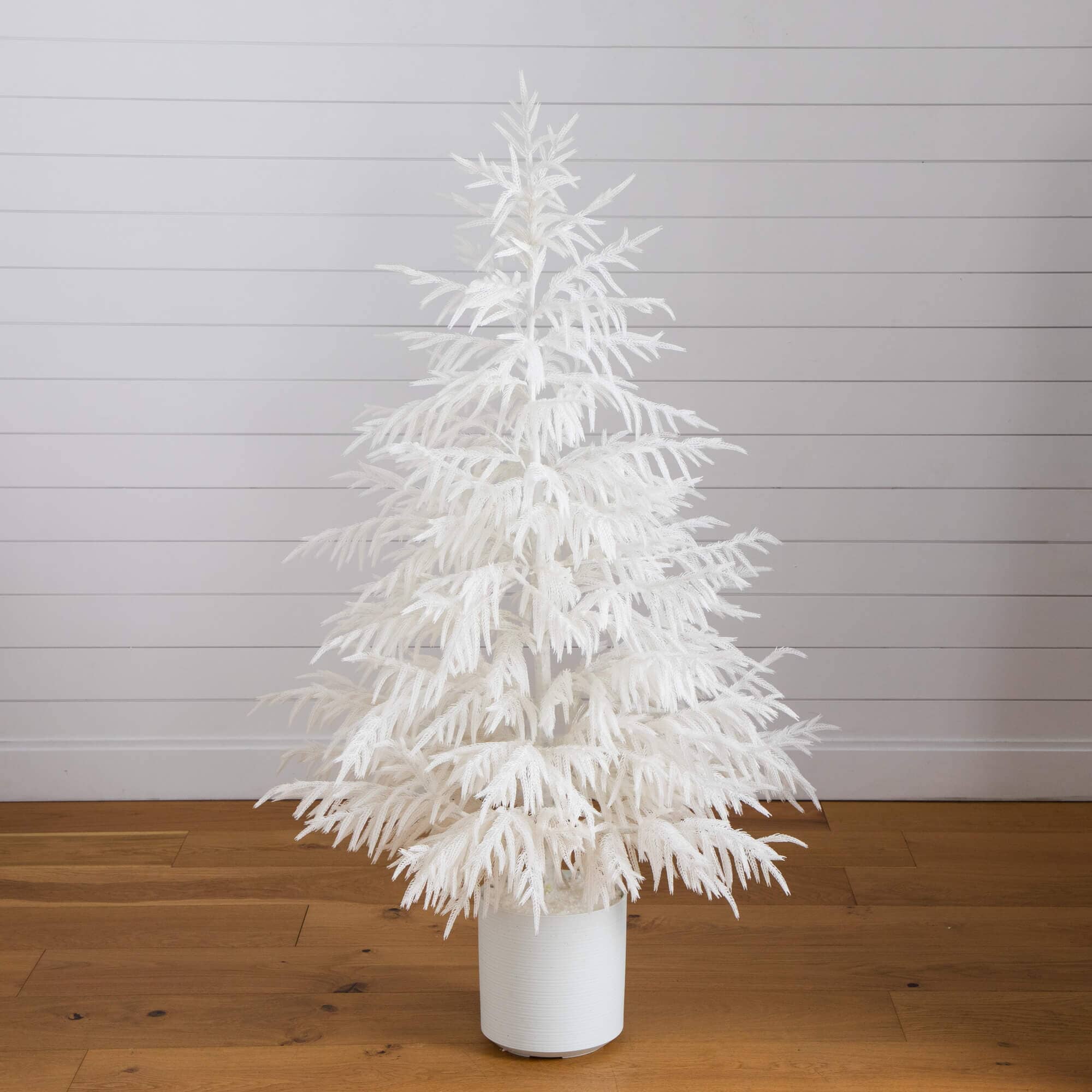 5' Artificial Real Touch White Norfolk Island Pine Christmas Tree with ...
