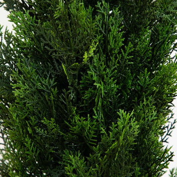 5' Mini Cedar Pine Tree (Indoor/Outdoor) | Nearly Natural