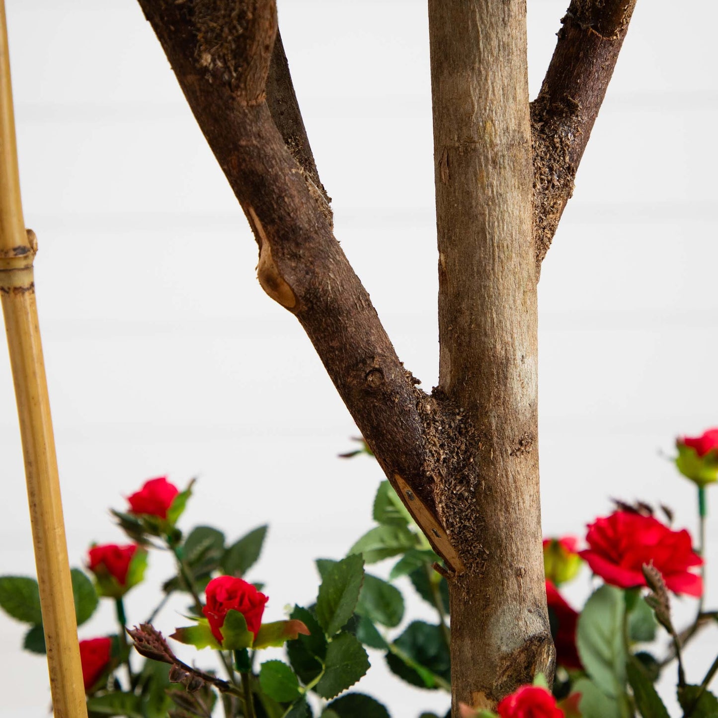 5' Mini Rose Silk Tree | Nearly Natural
