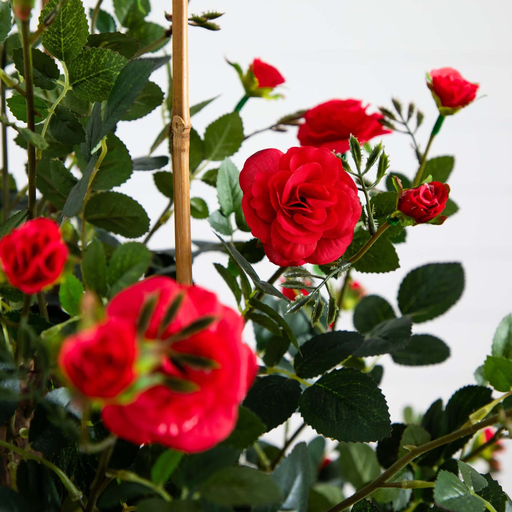 5' Mini Rose Silk Tree | Nearly Natural