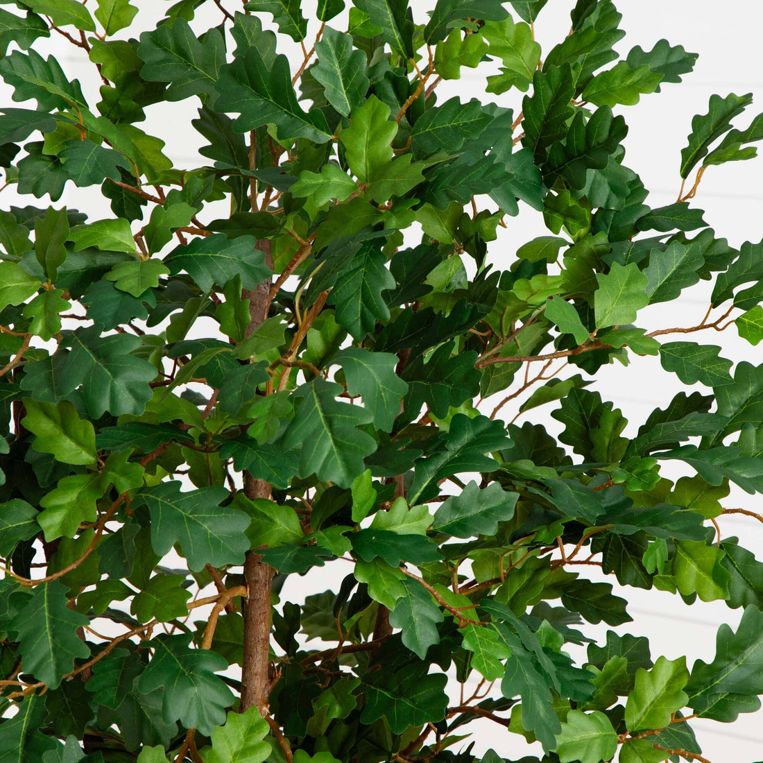 5’ Oak Artificial Tree | Nearly Natural