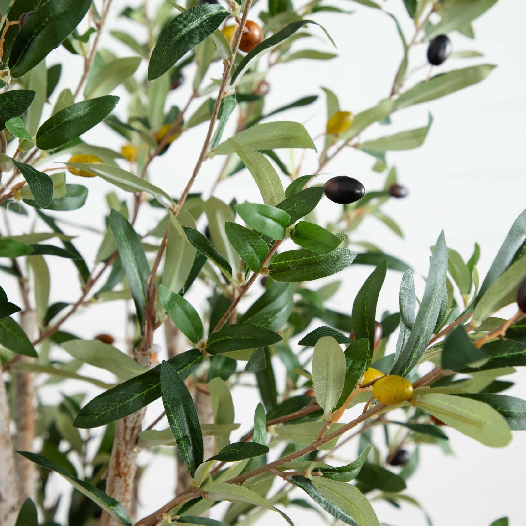 5’ Olive Tree in Terracotta Planter | Nearly Natural