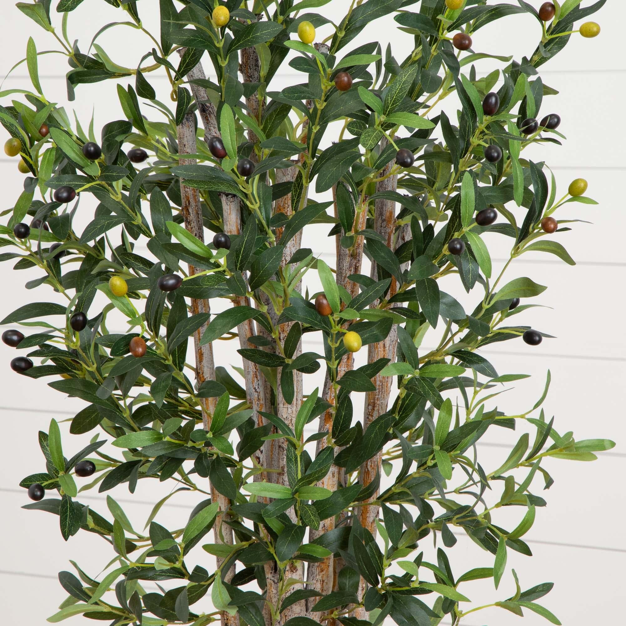 5’ Olive Tree in White Oval Planter | Nearly Natural