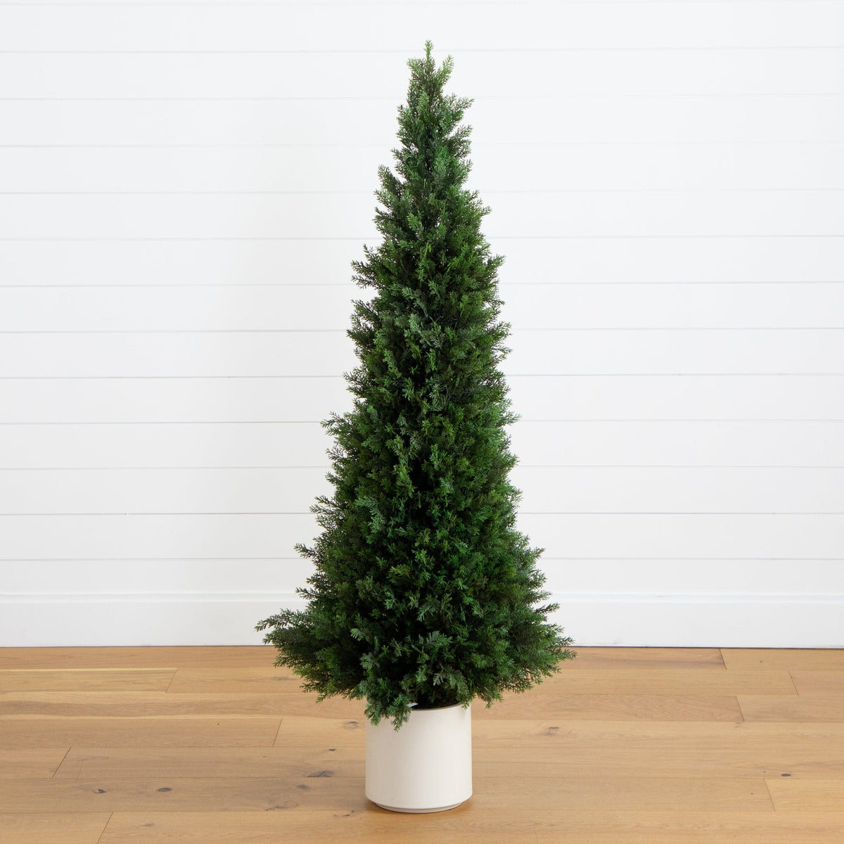 Cedar Trees – Nearly Natural