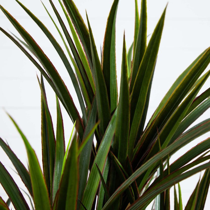 Silk Yucca Plants | Artificial Yucca Plants | Nearly Natural