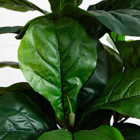 54” Fiddle Leaf Artificial Tree (Real Touch) | Nearly Natural