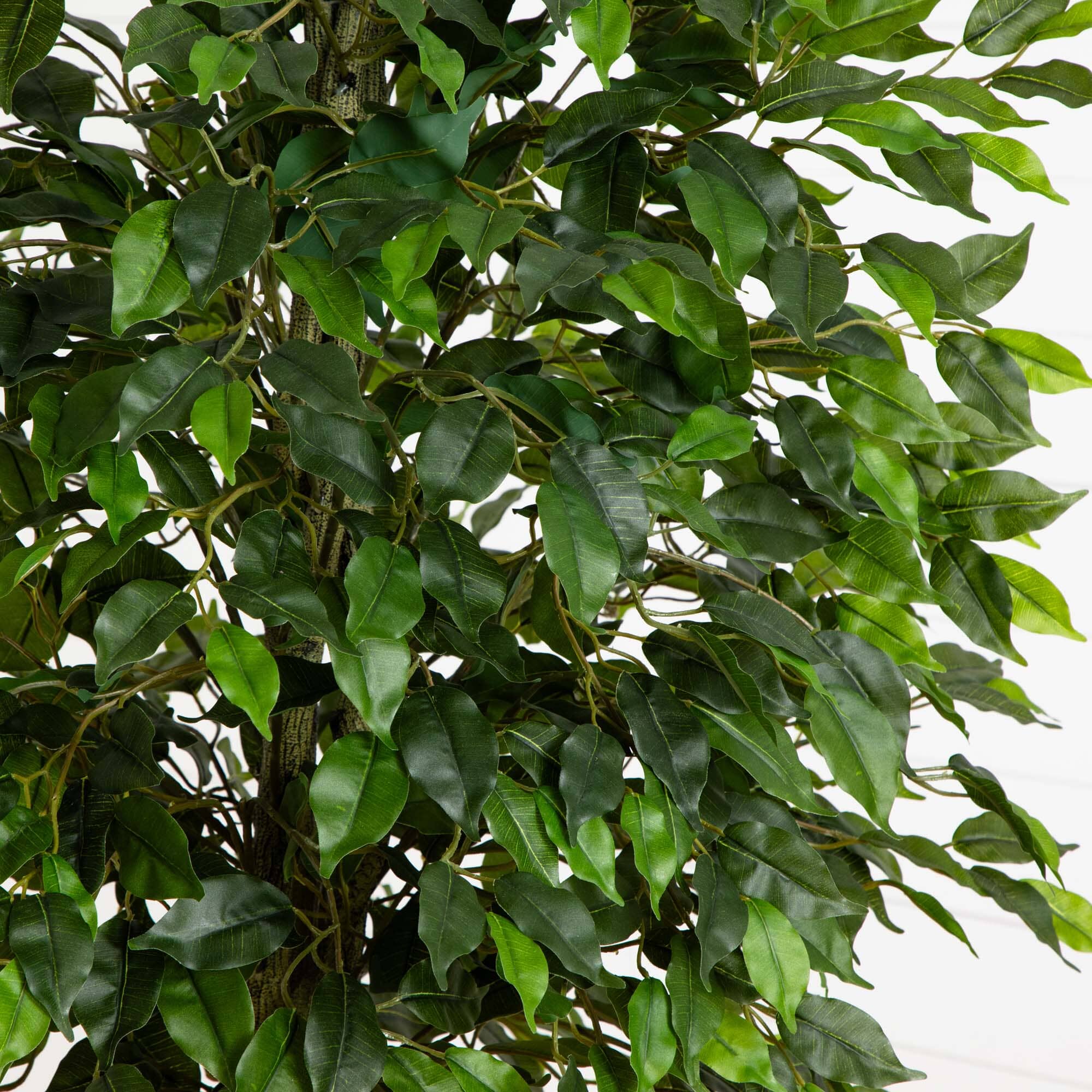 5.5' Ficus Tree UV Resistant (Indoor/Outdoor) | Nearly Natural