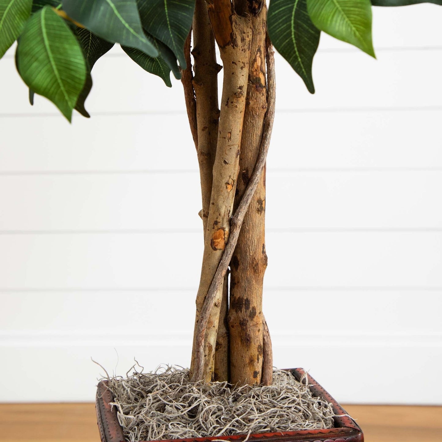 5.5’ Ficus Tree w/Bamboo Planter | Nearly Natural