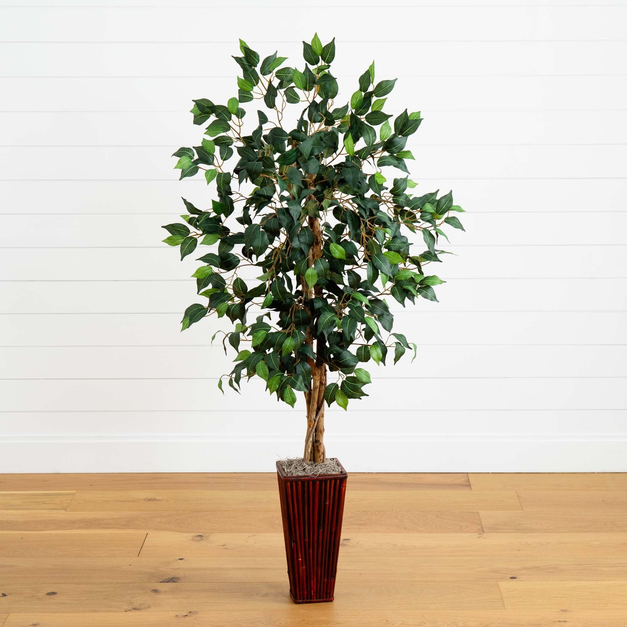 5.5’ Ficus Tree w/Bamboo Planter | Nearly Natural