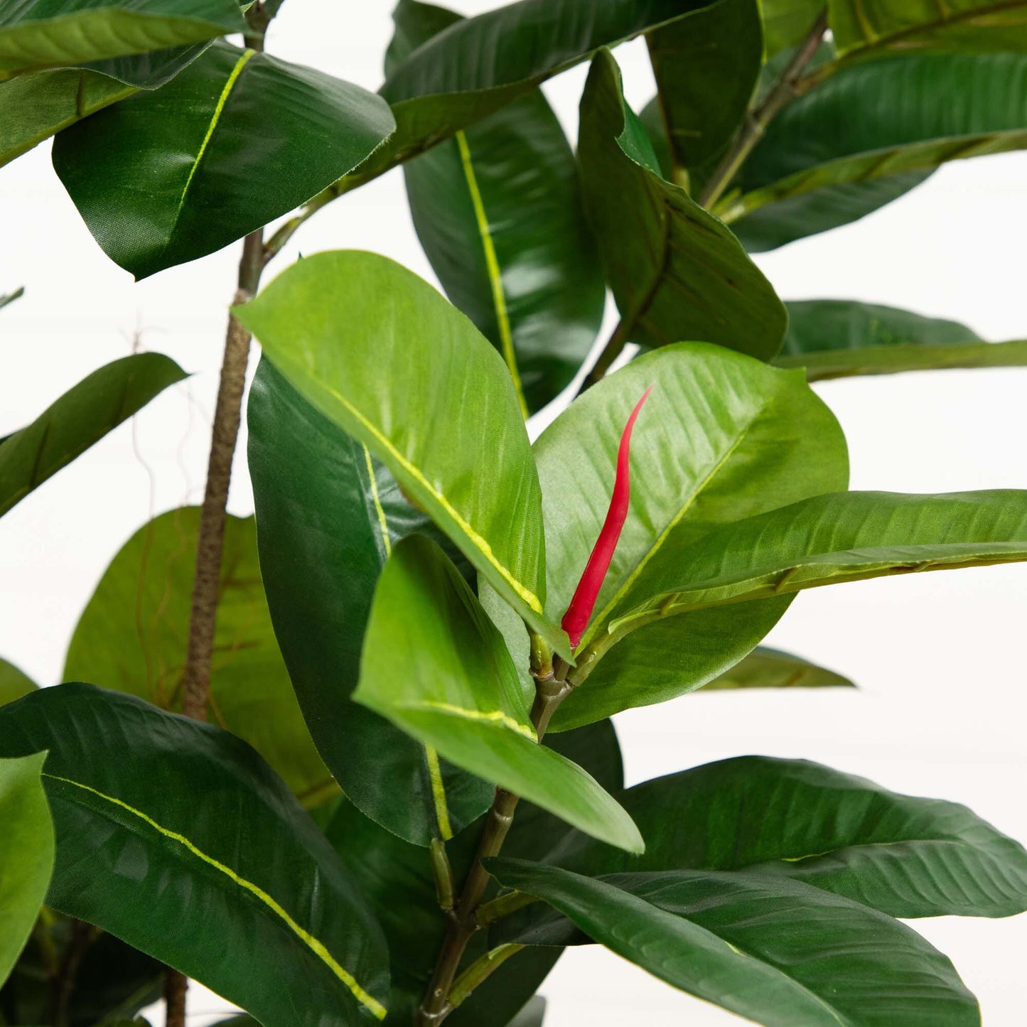 5.5’ Oak Artificial Tree UV Resistant (Indoor/Outdoor) | Nearly Natural