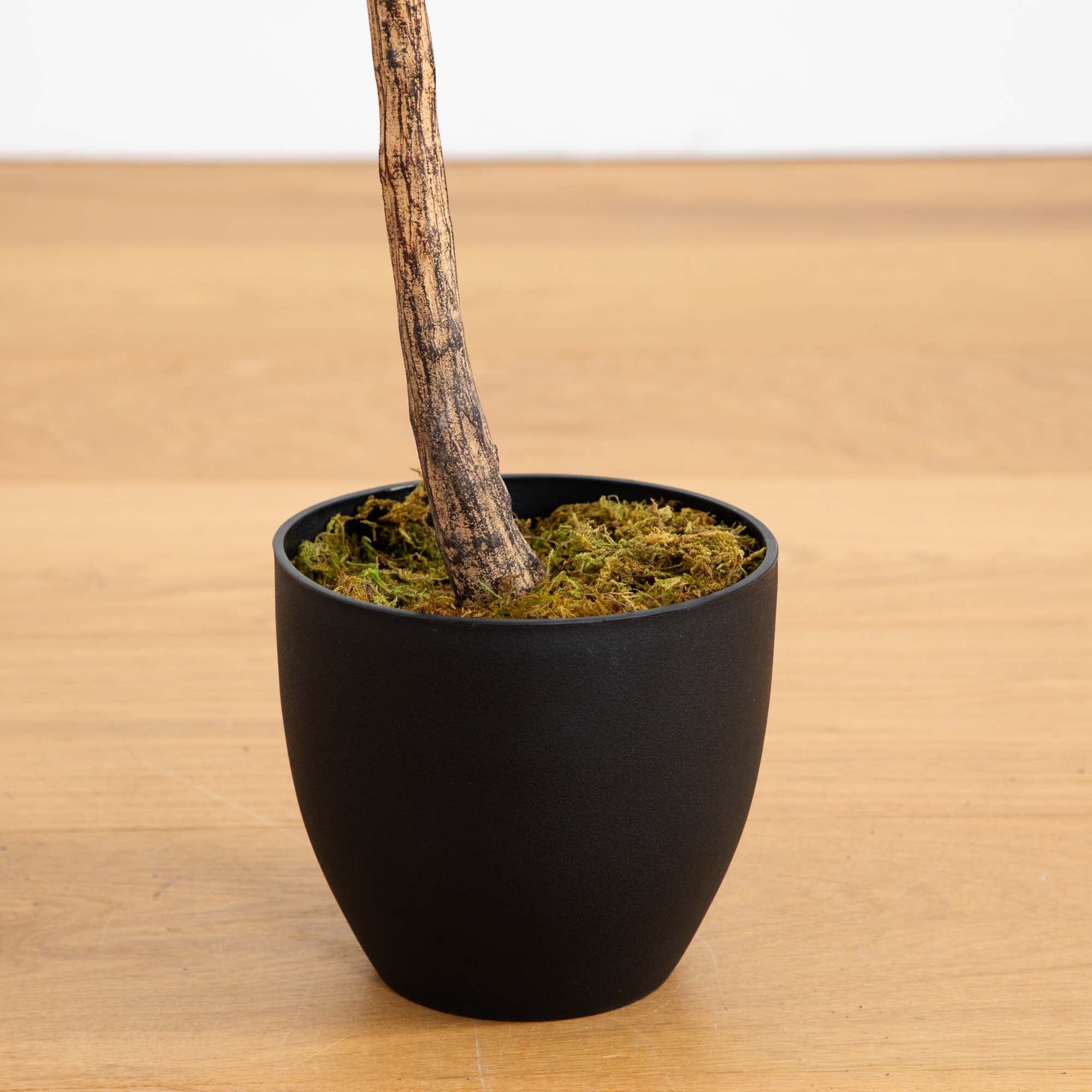 59” Fiddle Leaf Artificial Tree (Real Touch) | Nearly Natural