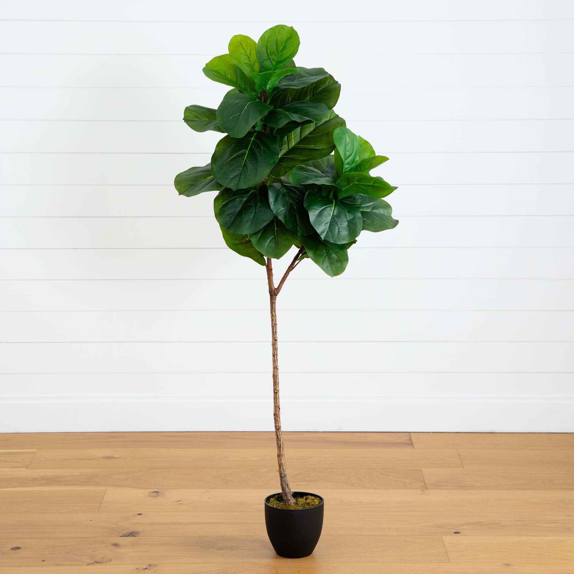59” Fiddle Leaf Artificial Tree (Real Touch) | Nearly Natural