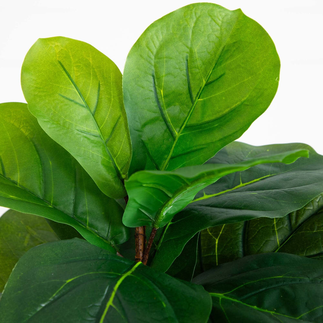 59” Fiddle Leaf Artificial Tree (Real Touch) | Nearly Natural