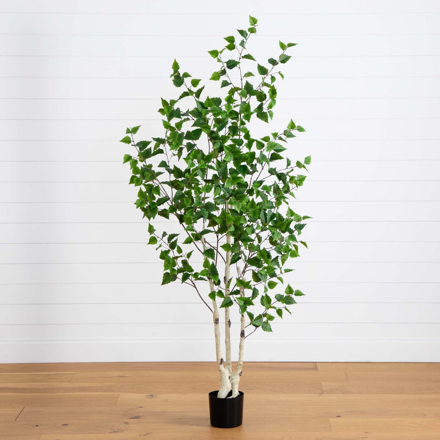 6’ Artificial Birch Tree with Real Touch Leaves | Nearly Natural