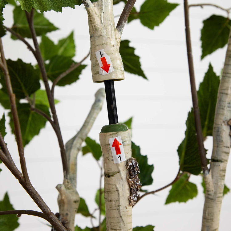 6’ Artificial Birch Tree with Real Touch Leaves | Nearly Natural