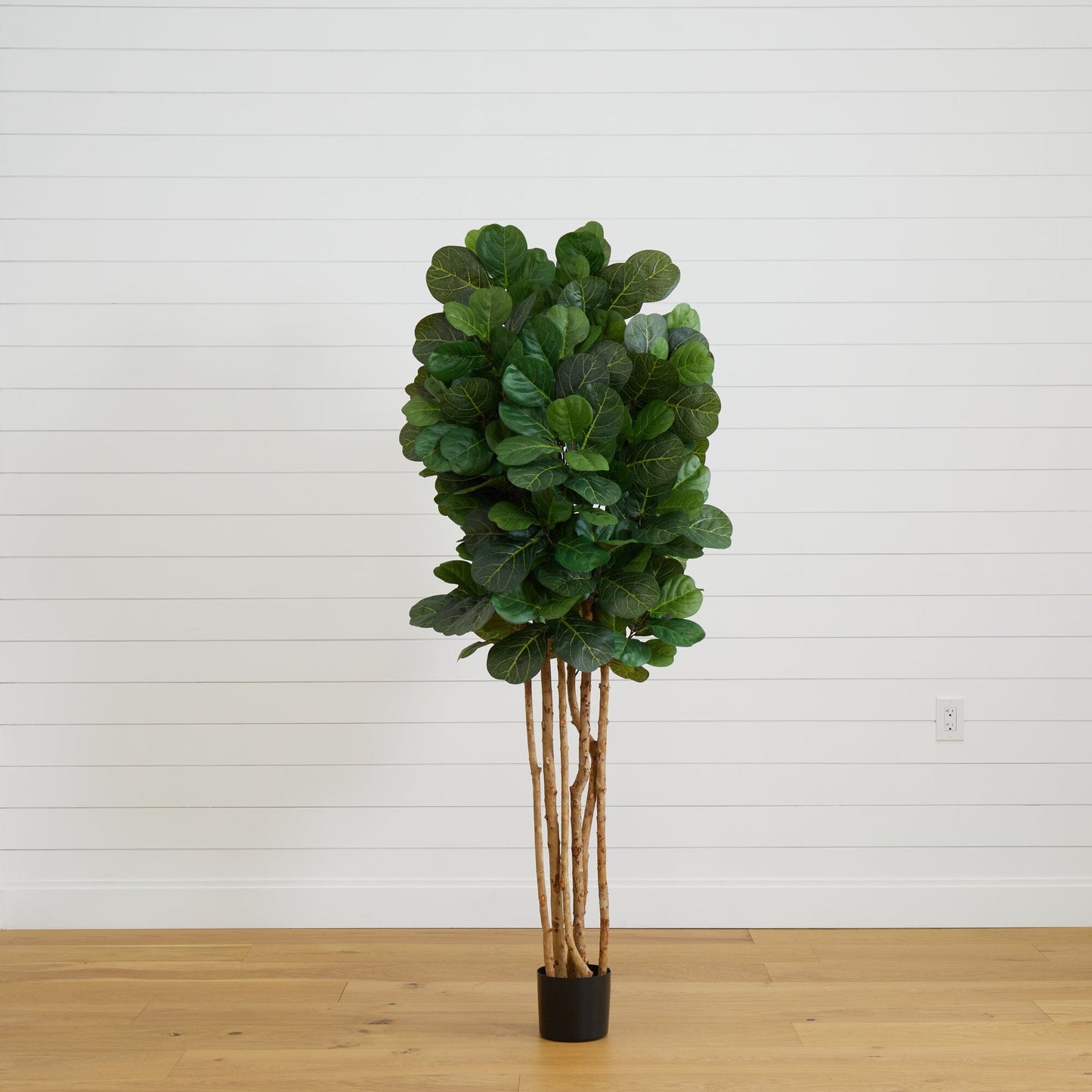 6’ Artificial Fiddle Leaf Fig Tree | Nearly Natural