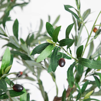 6’ Artificial Grand Olive Tree in White Decorative Planter | Nearly Natural