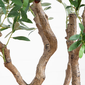6’ Artificial Grand Olive Tree in White Decorative Planter | Nearly Natural