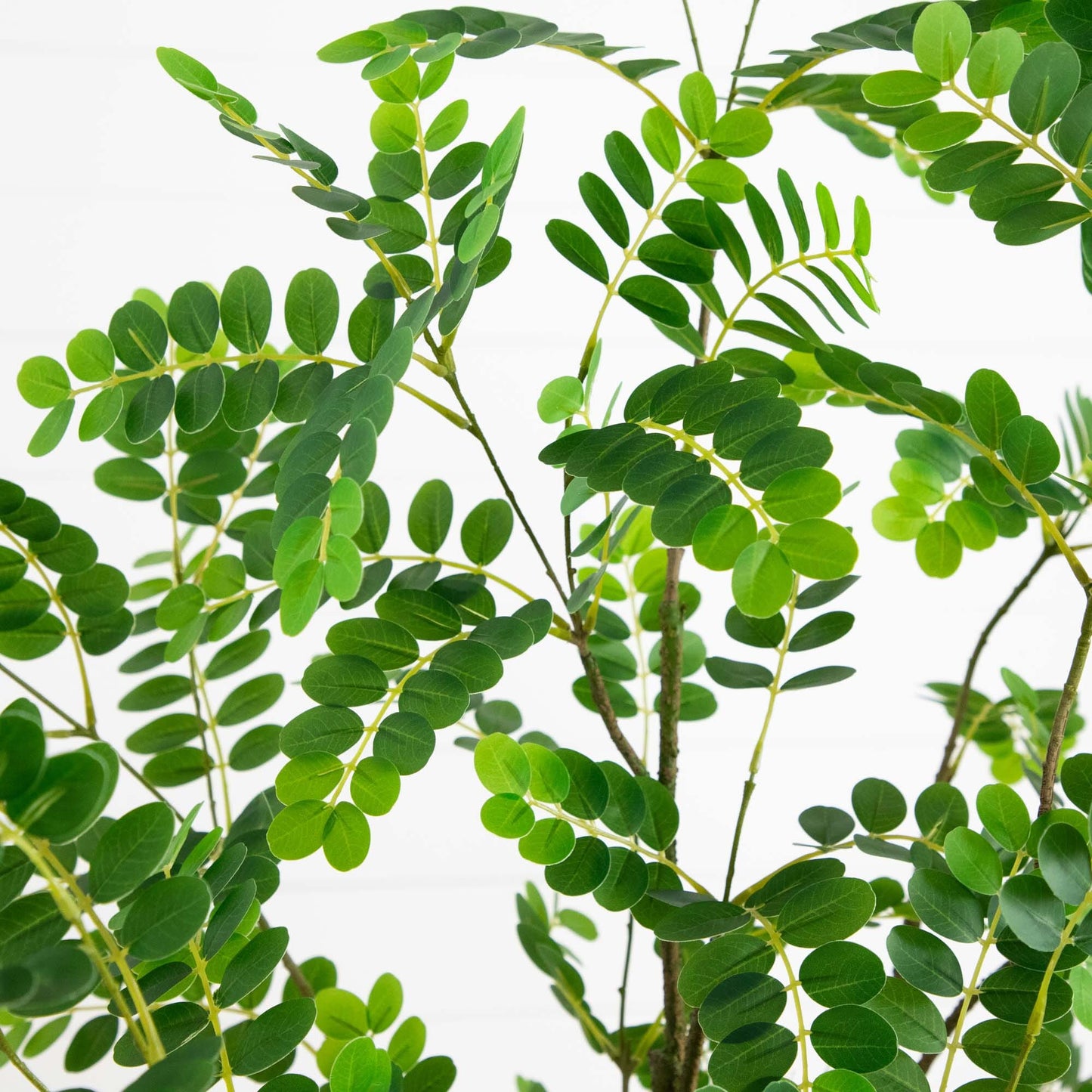 6’ Artificial Greco Citrus Tree with Real Touch Leaves | Nearly Natural