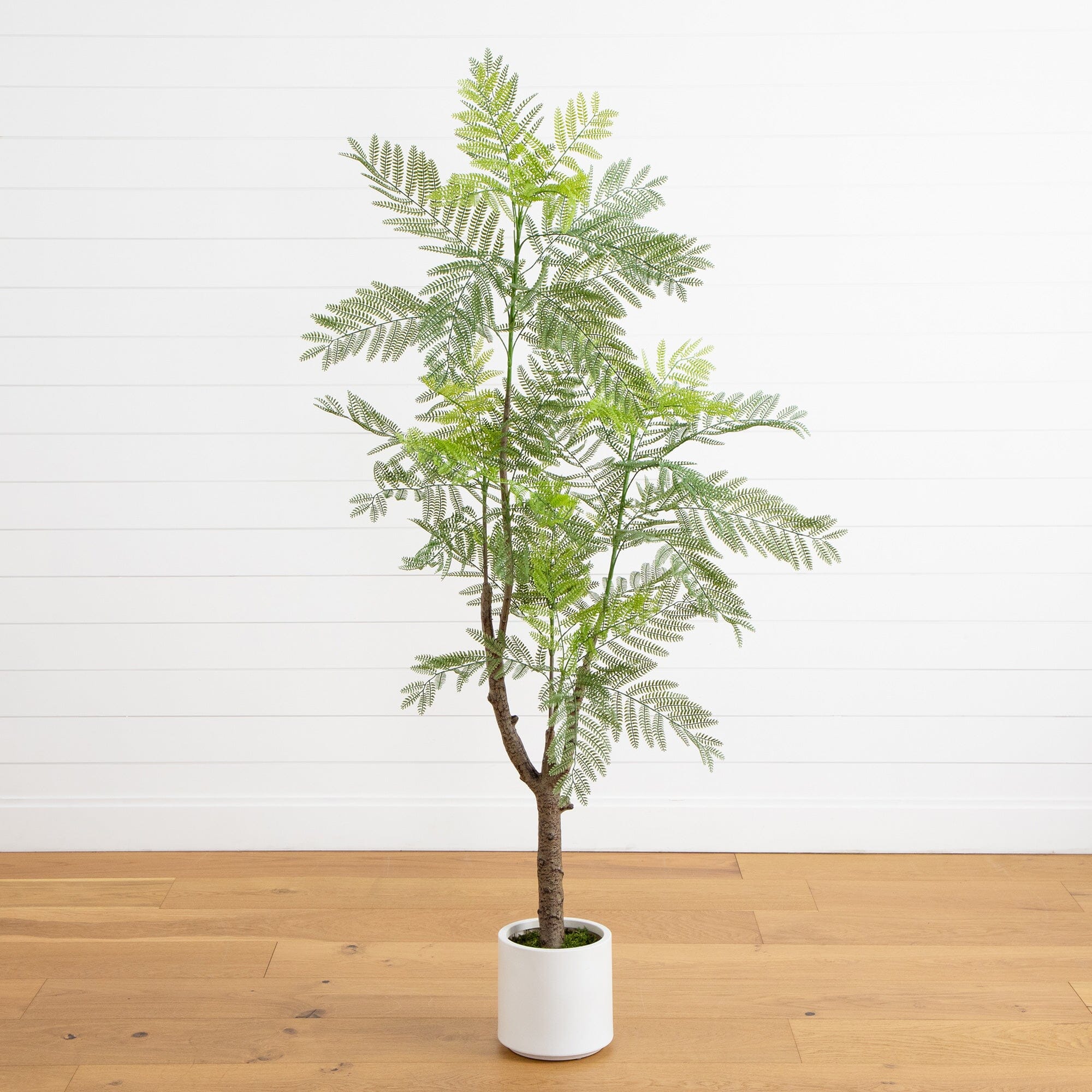 6’ Artificial Jacaranda Tree in White Decorative Planter | Nearly Natural