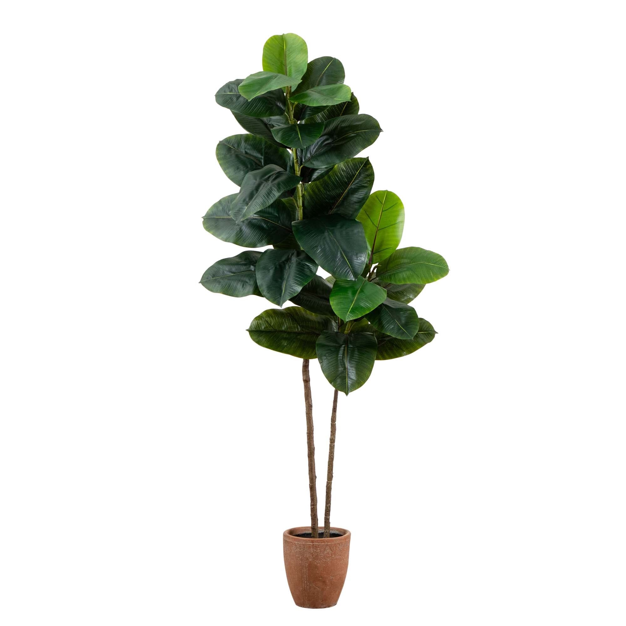 6’ Artificial Rubber Tree in Decorative Planter with Real Touch Leaves ...