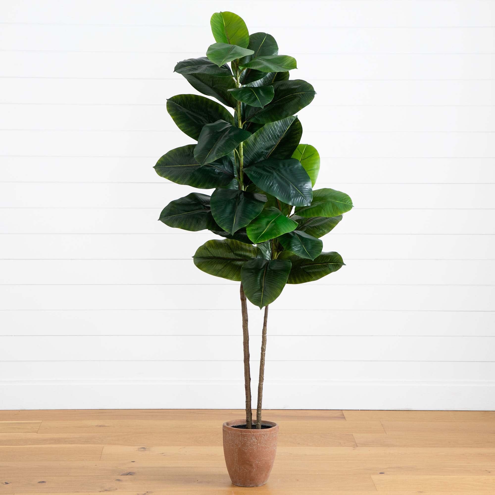 6’ Artificial Rubber Tree in Decorative Planter with Real Touch Leaves ...