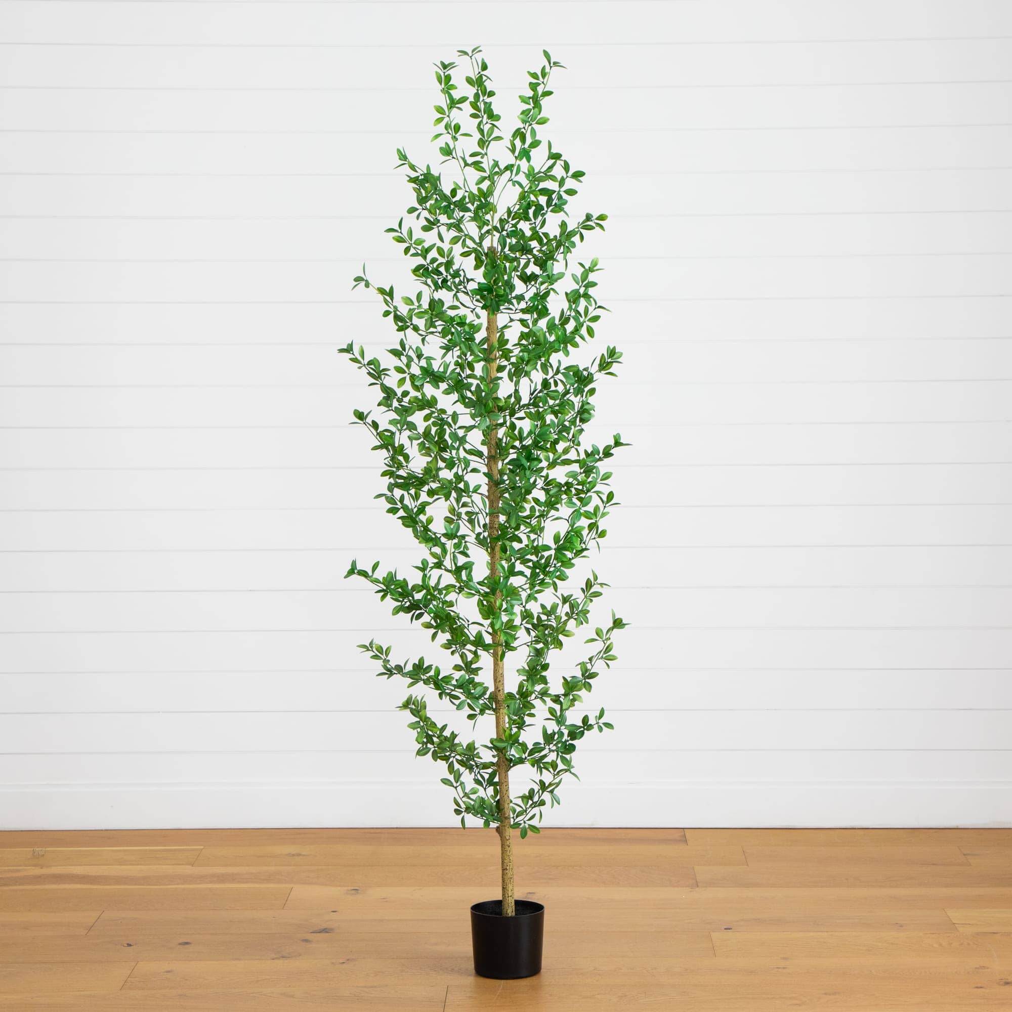 6' Artificial Shady Lady Black Olive Tree – Nearly Natural