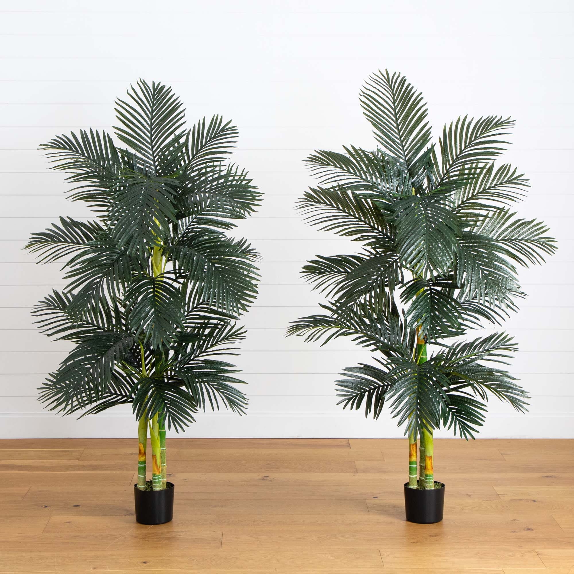 6’ Artificial Triple Stalk Golden Cane Palm Tree- Set of 2 | Nearly Natural