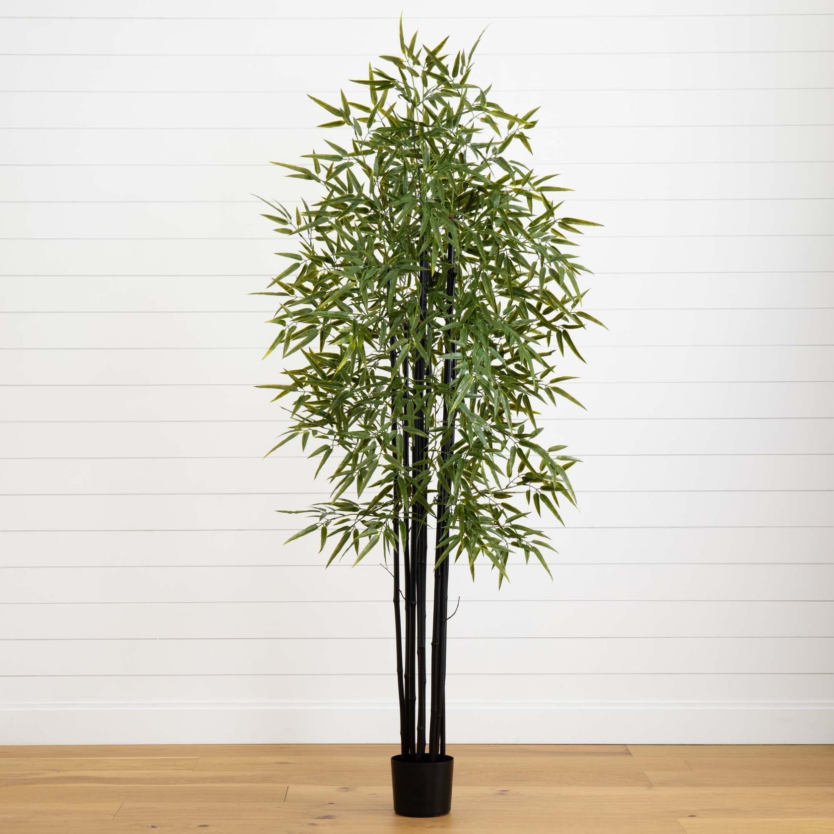 6' Black Bamboo Tree UV Resistant (Indoor/Outdoor) | Nearly Natural